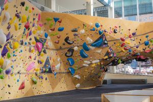 Climbing Gyms | Pebble Climbing | Pebble Climbing