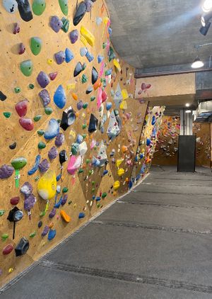 Climbing Gyms | Pebble Climbing | Pebble Climbing